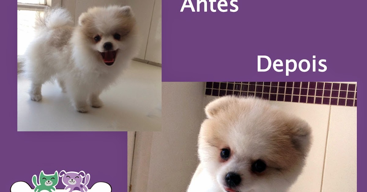 TOSA BEBÊ - TOSA VERÃO - TOSA TESOURA -TOSA PORTO ALEGRE: TOSA TESOURA ...