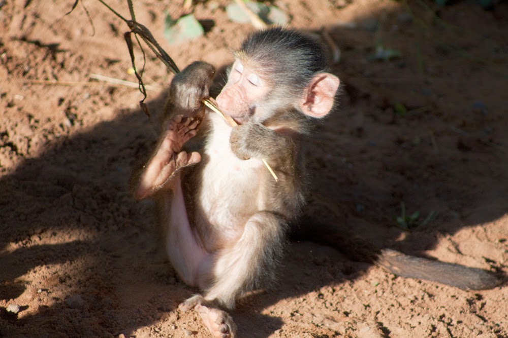 Adventures of Ben & Kari