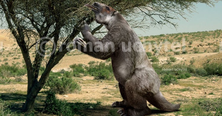 Mundo Pré-Histórico: Megatério, a preguiça-gigante