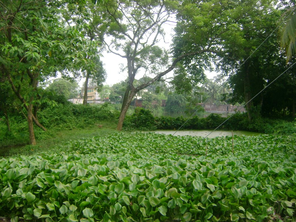 EXPLORE THE WORLD: Chuadanga, Bangladesh; Image Gallery