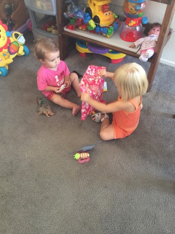 The Preschool Process: Teachable Toddlers