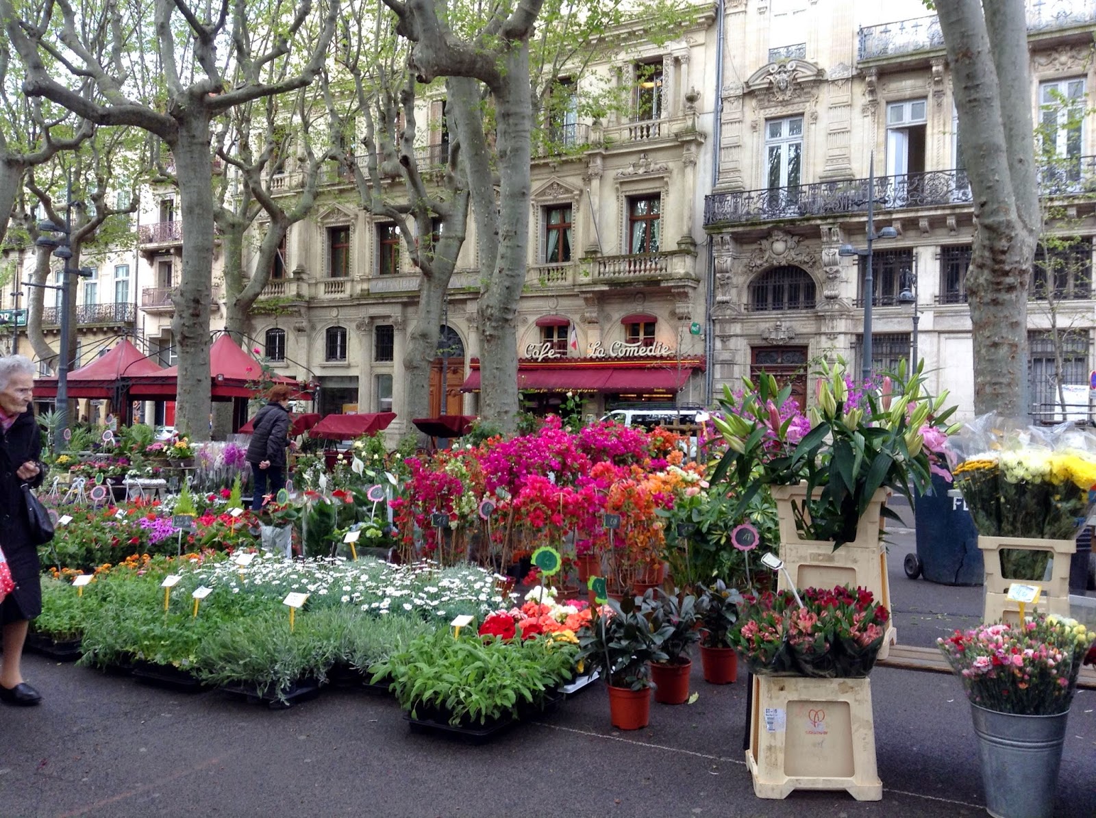 FRIDAY FLOWER MARKET, BEZIERS - APRIL 2015
