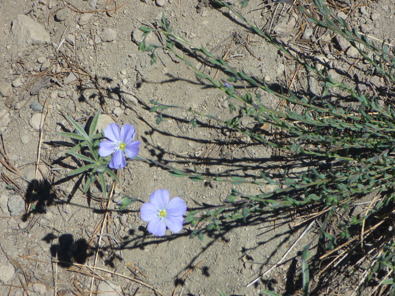 Trailing Ahead: July 2013