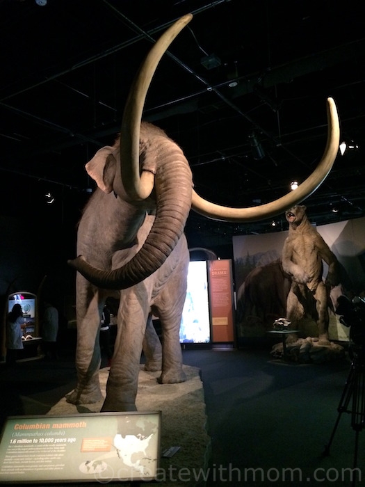 Create With Mom: Mammoths and Mastodons: Titans of the Ice Age at ... Create With Mom: Mammoths and Mastodons: Titans of the Ice Age at ...