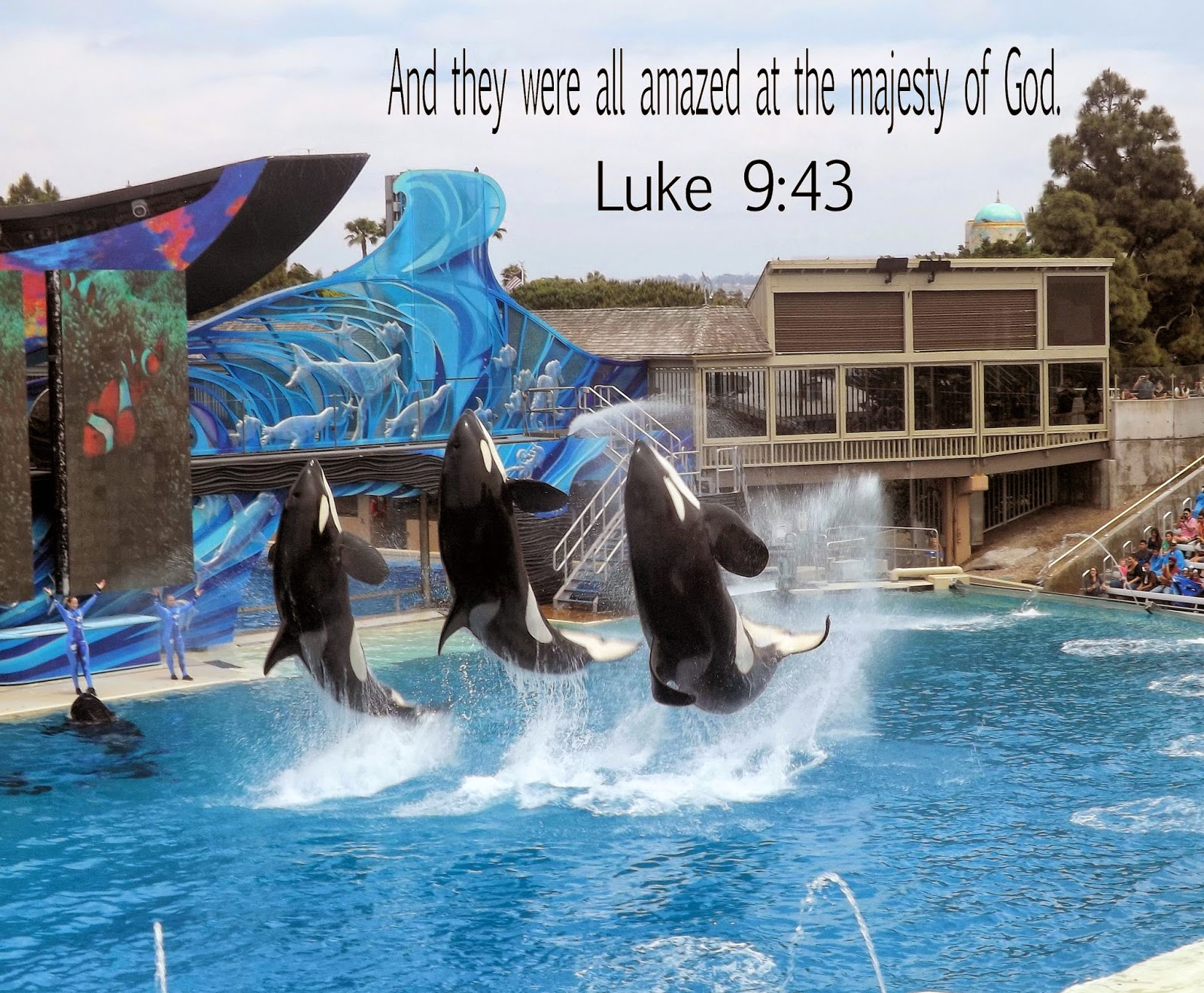 Following Jesus: Luke 9:43 Majesty of God