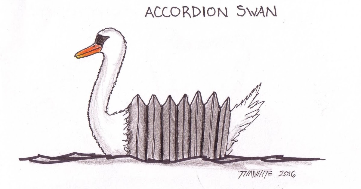 The Back of Class: Cheap swan jokes