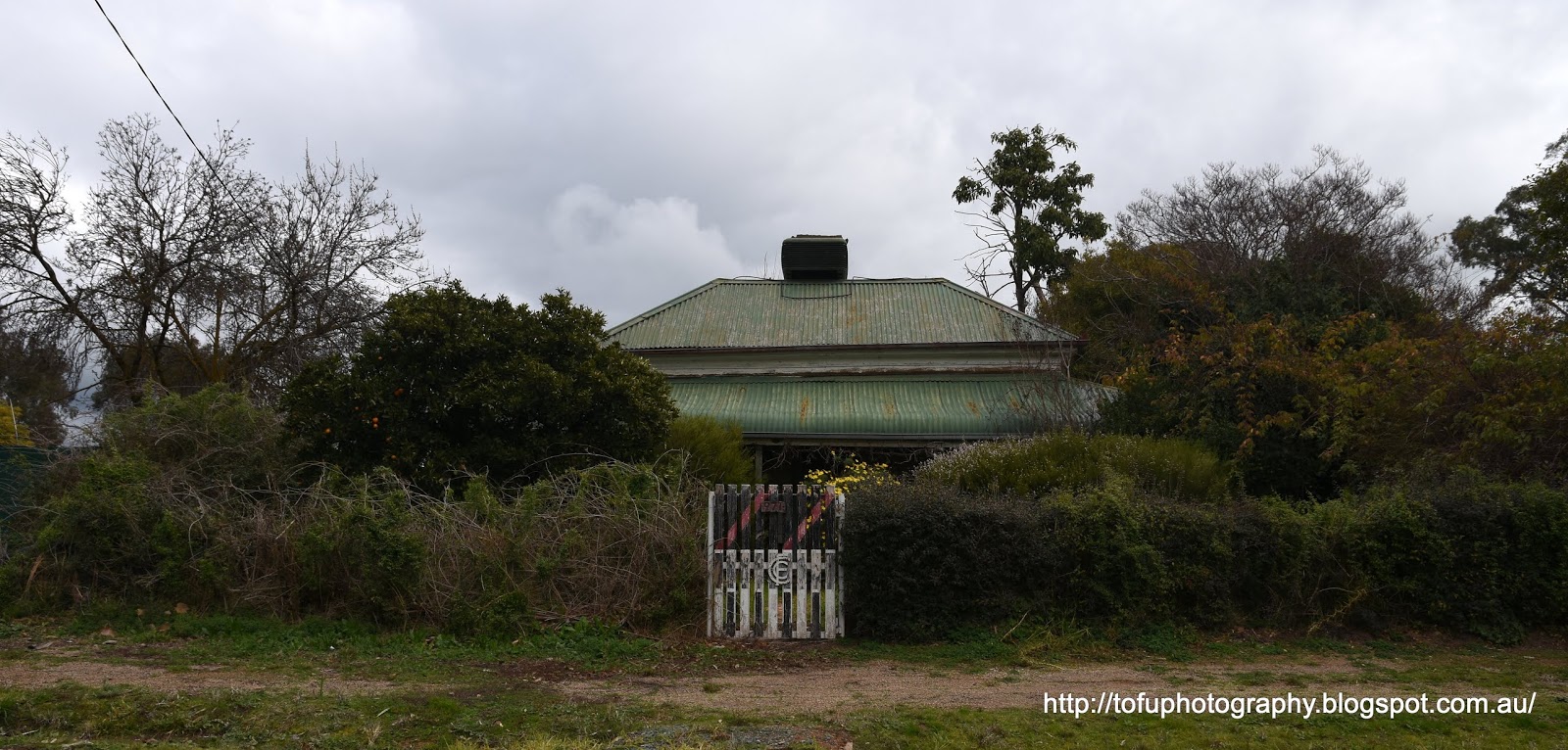 Tofu Photography: A quaint old Victorian era house hidden by a hedge at ...