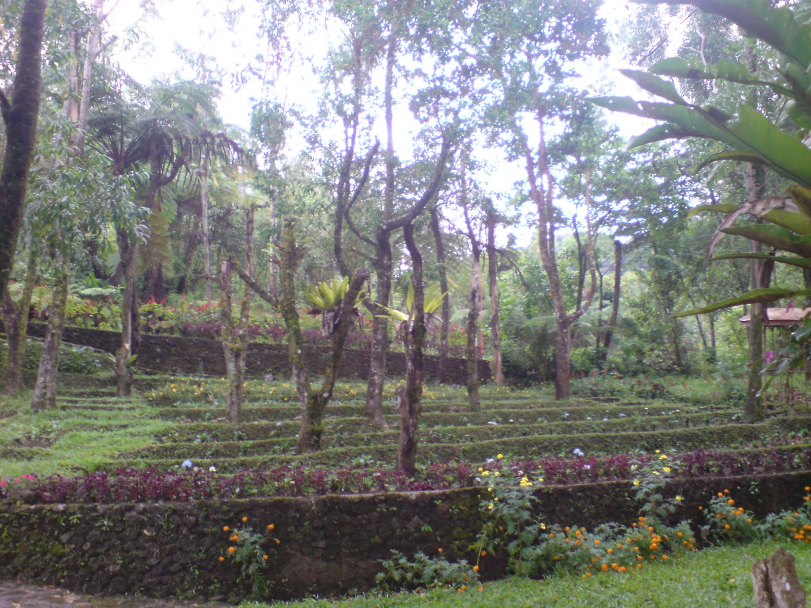 Beaches and Get Aways in Negros Island: A DAY IN PATAG, SILAY CITY