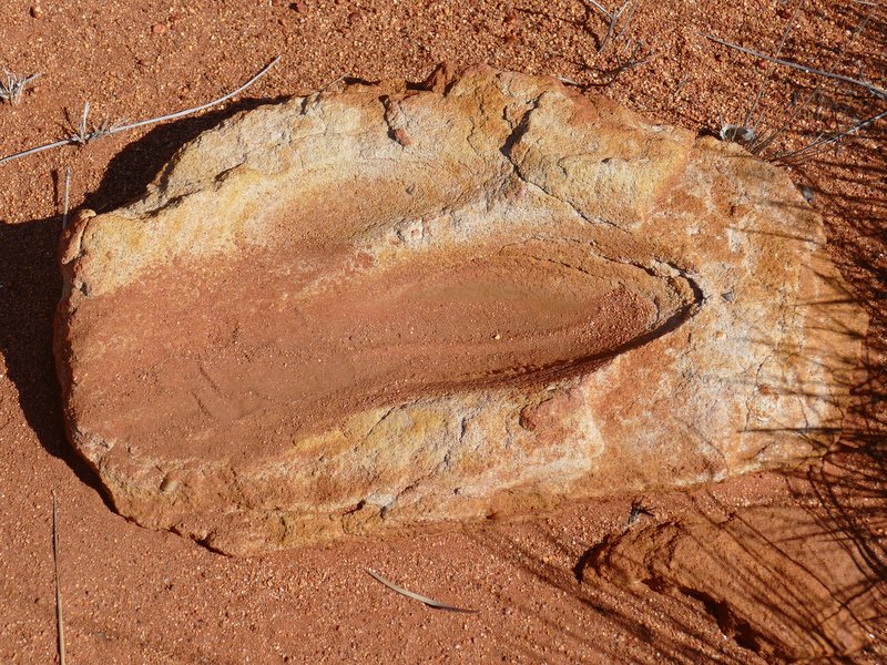 Ian Fraser, talking naturally: The Great Sandy Desert: #1