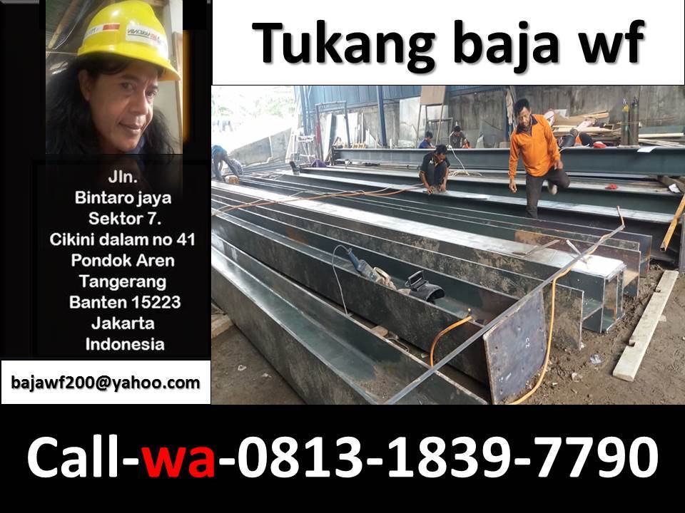 baja wf 700: baja wf 700