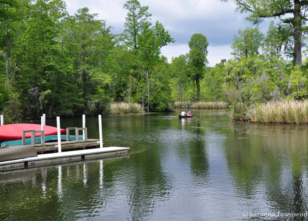 My View of Charleston and the Lowcountry: Old Santee Canal Park