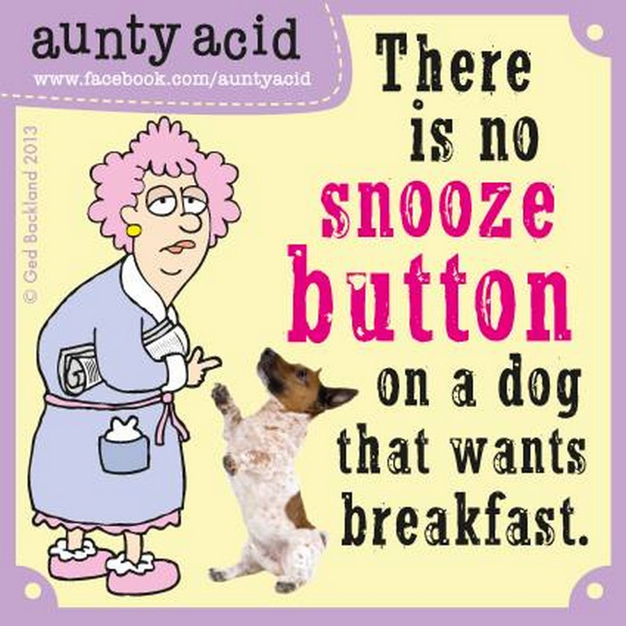 Chuck's Fun Page 2: Seven Aunty Acid cartoons