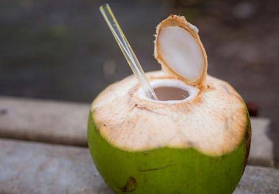 Manfaat Air Kelapa Muda Untuk Ibu Hamil Muda Dan Tua | Manfaat Air Kelapa Manfaat Air Kelapa Muda Untuk Ibu Hamil Muda Dan Tua | Manfaat Air Kelapa