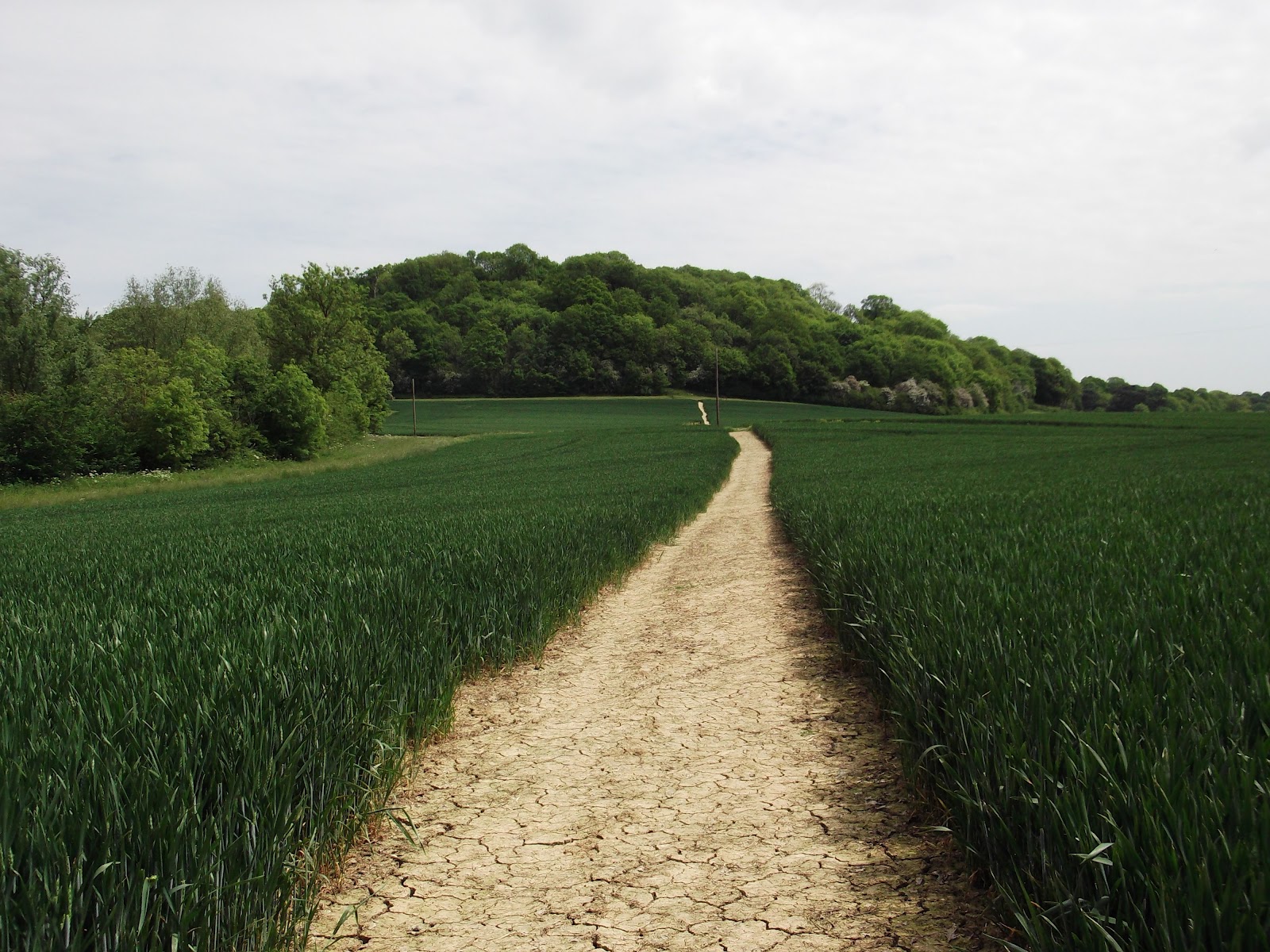 aliwalks : Jurassic Way 5 - Winwick to Sibbertoft