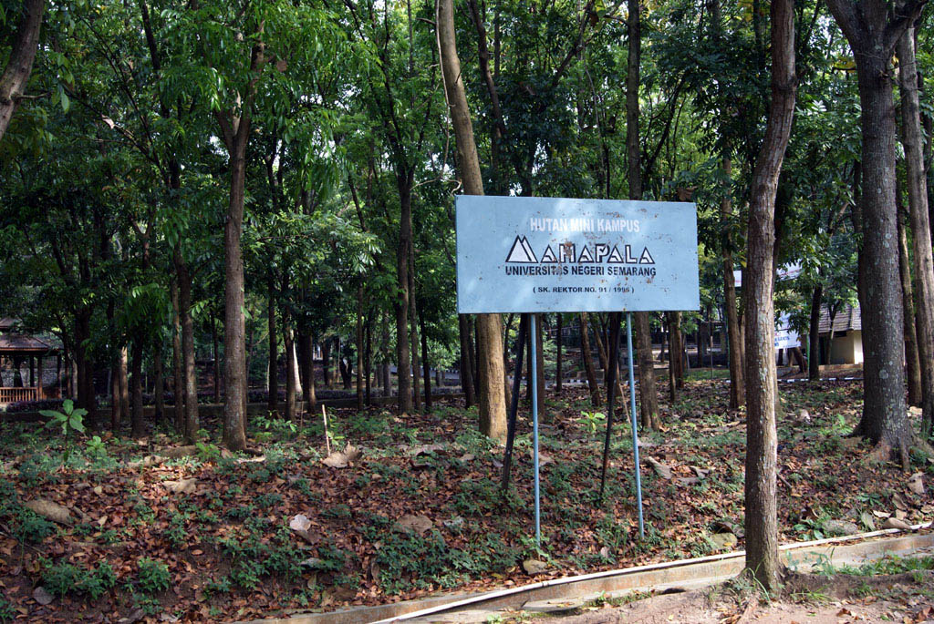 HUTAN MINIKU, HUTAN ASRIKU HANYA MILIK UNNES TERCINA | Fenty's Blog :)