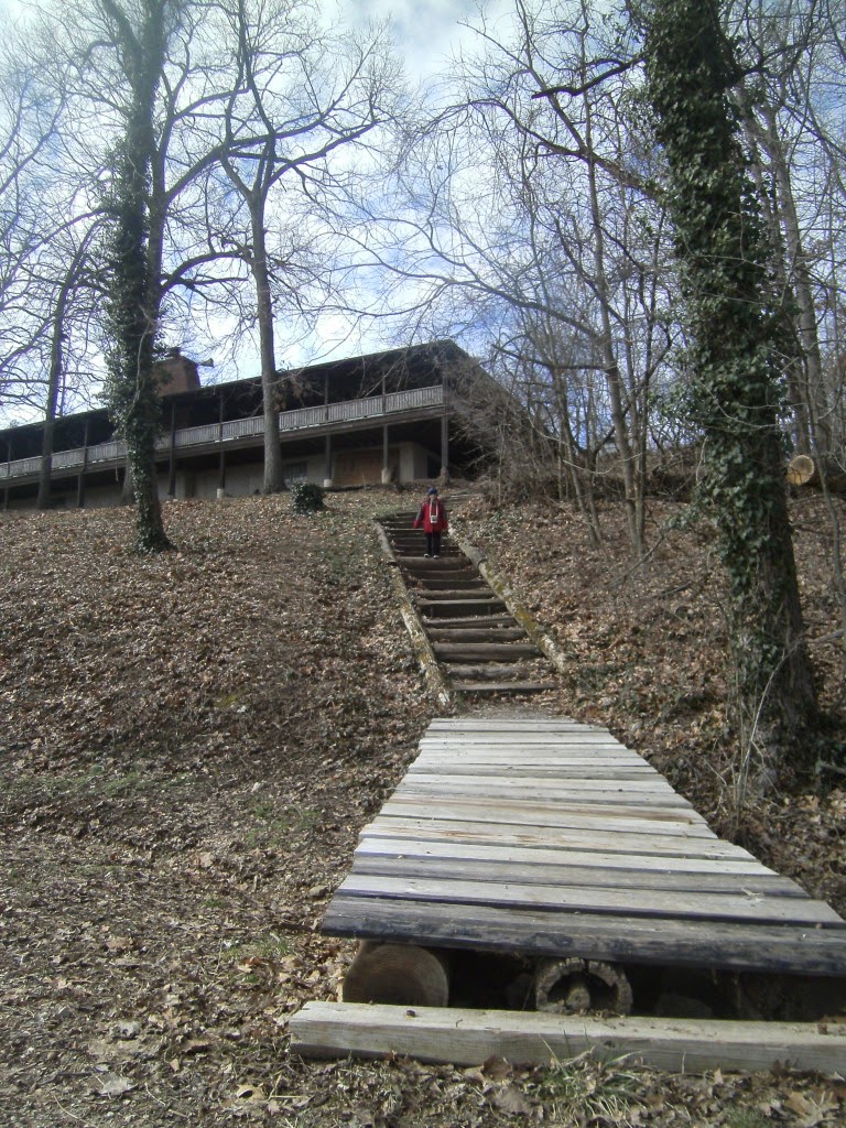 The Parenting Dad: Camp Warren Levis