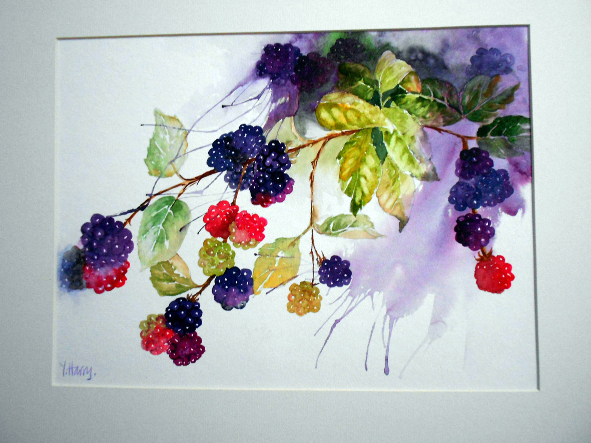 Watercolour Florals: Blackberries