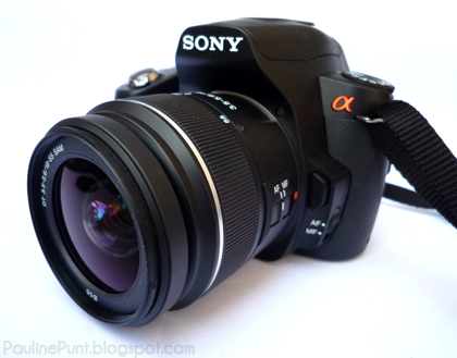 Pauline, punt.: Nieuwe camera: Sony A390