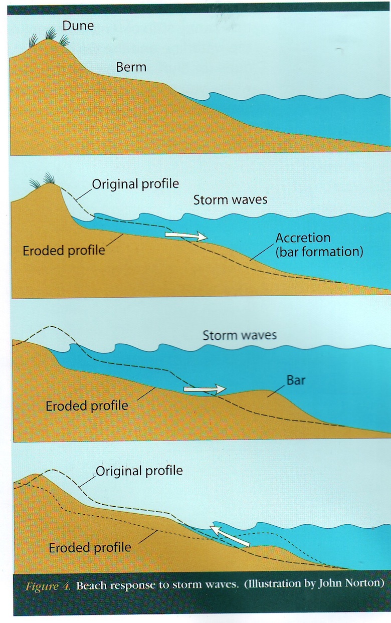 What's New in Science