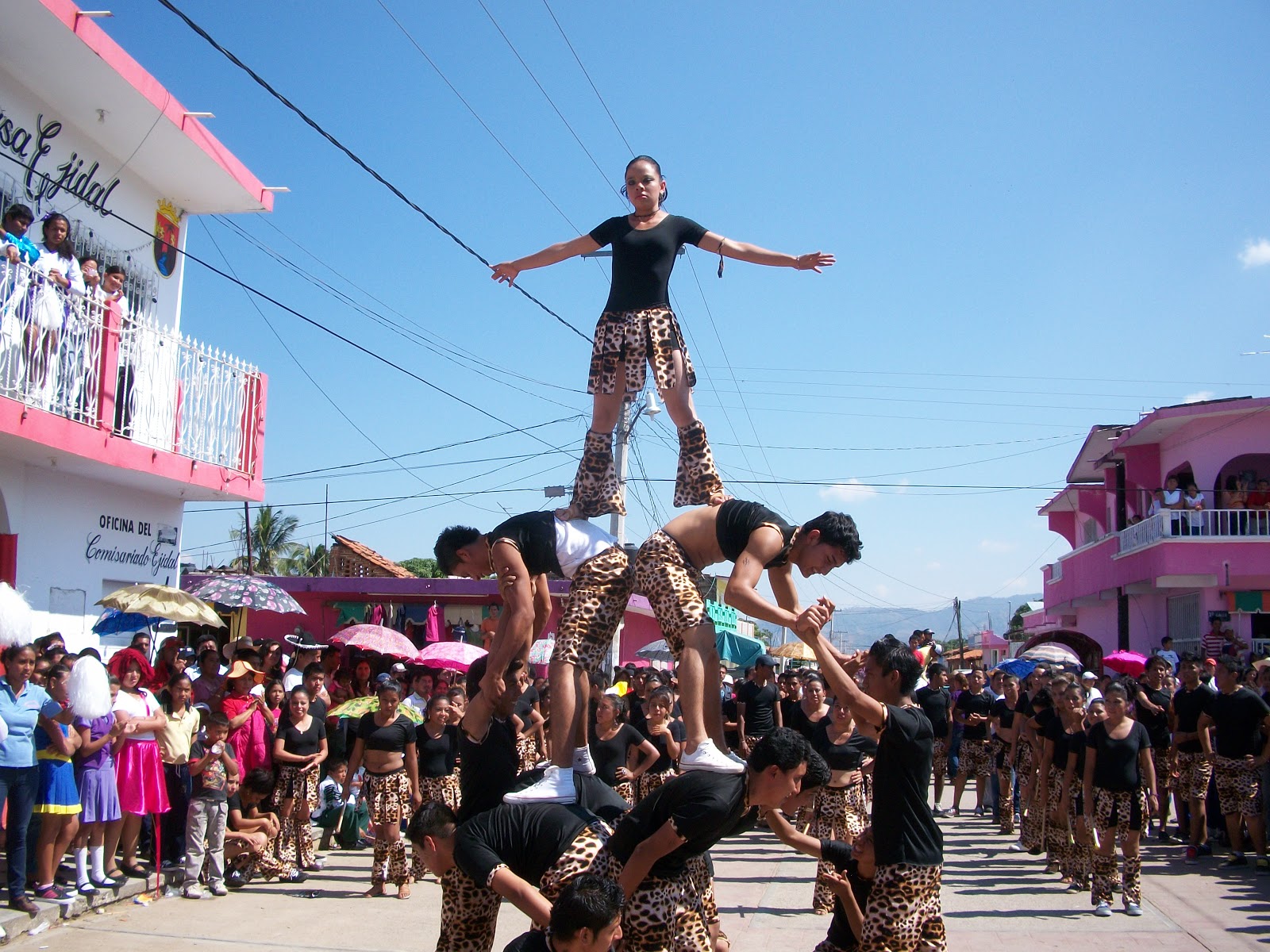 COBACHITO "32" : noviembre 2012