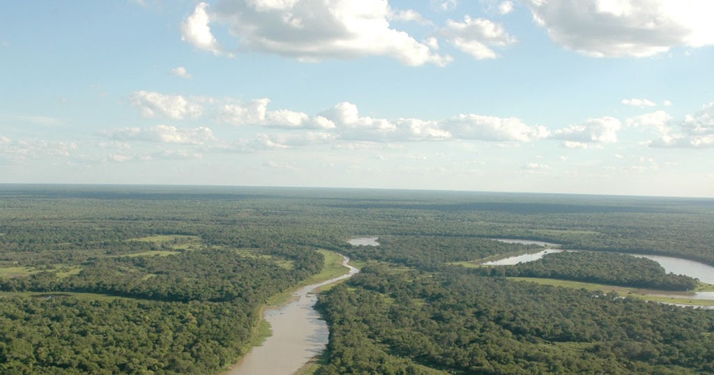 Tercer año geografía : Biomas de la Cuenca del Plata