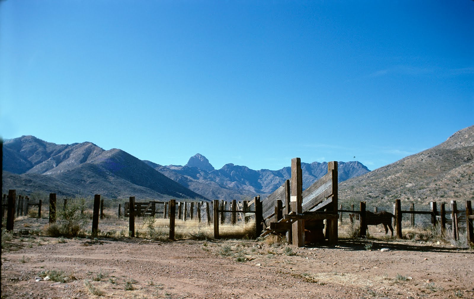 The Old Cowboy and Photography: Cowboys--Real Narrow Between the Eyes