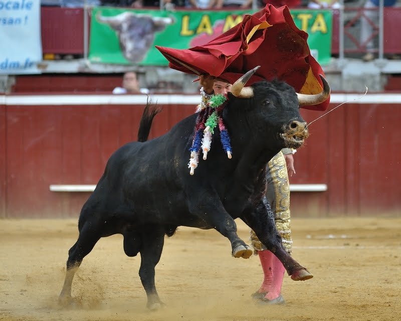 PhOtAuRiNeS: Saint Perdon 2011- Mathieu Guillon