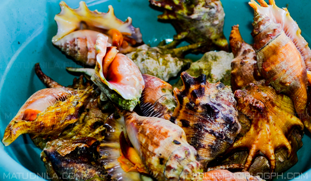 Bird Watching, Heritage and Culinary Tour in Olango Island in Lapu Lapu ...