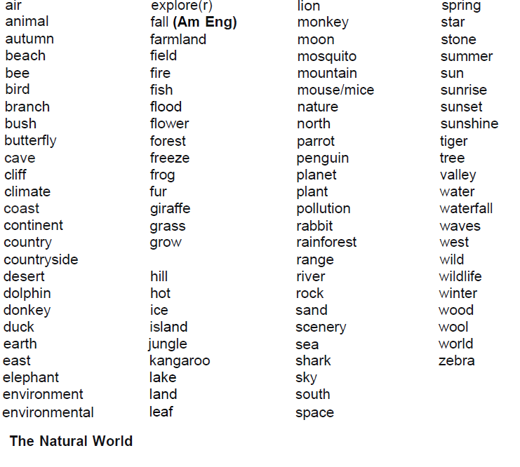 Year 6 Class Diary Vocabulary year-6-class-diary-vocabulary