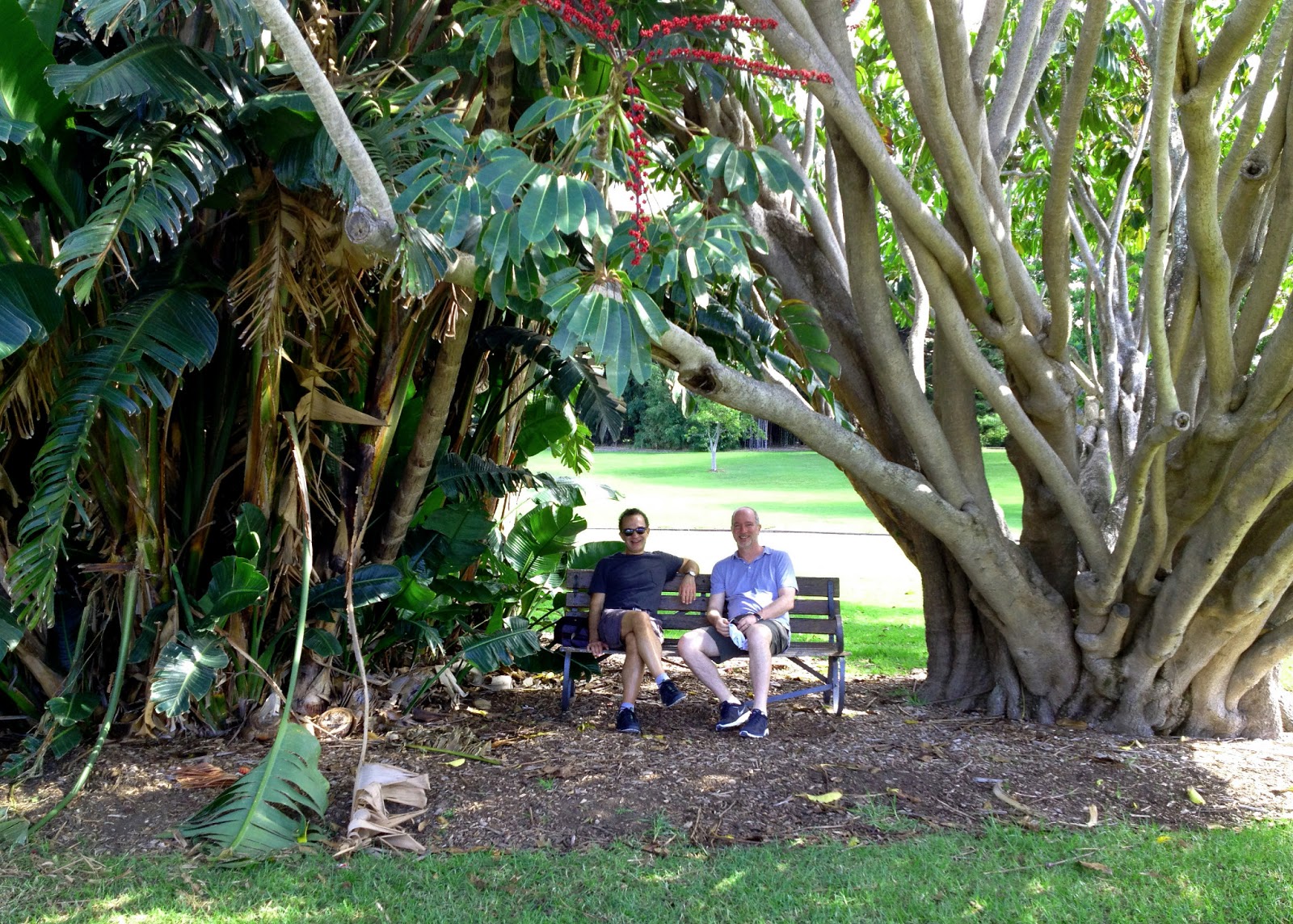 Arbor Day Aussie Style | SToNZ