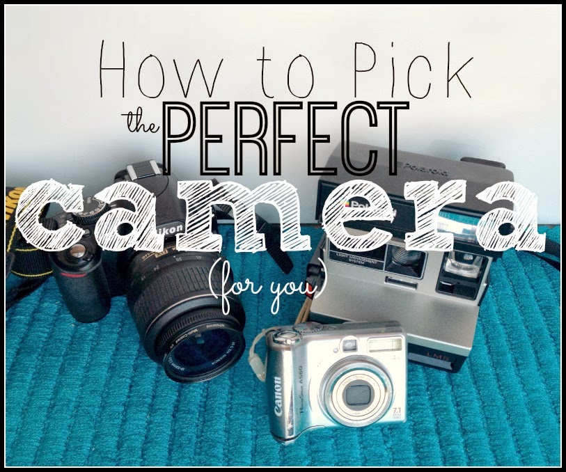 Hi! It's Jilly.: How To Pick the Perfect Camera For You {Photography ...