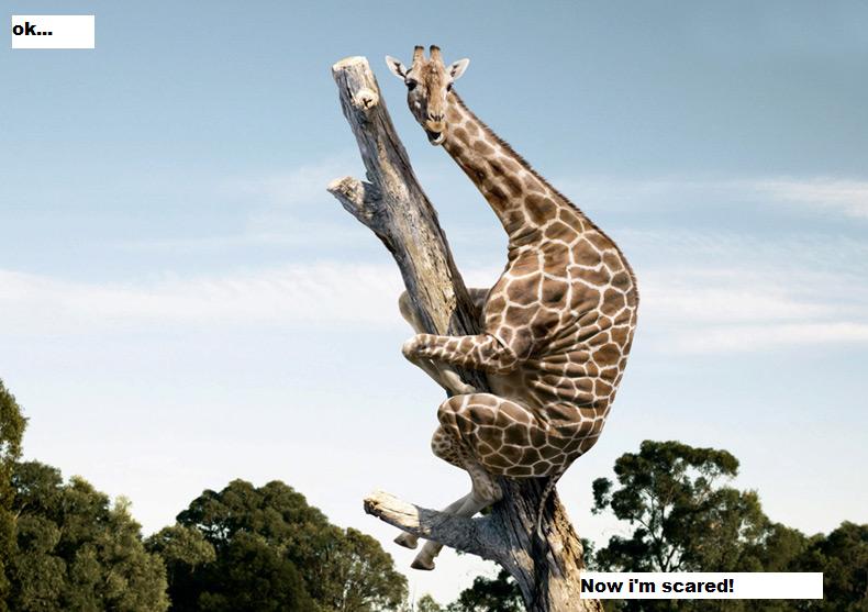 The Baby Giraffe: Outdoor Chandelier Tutorial