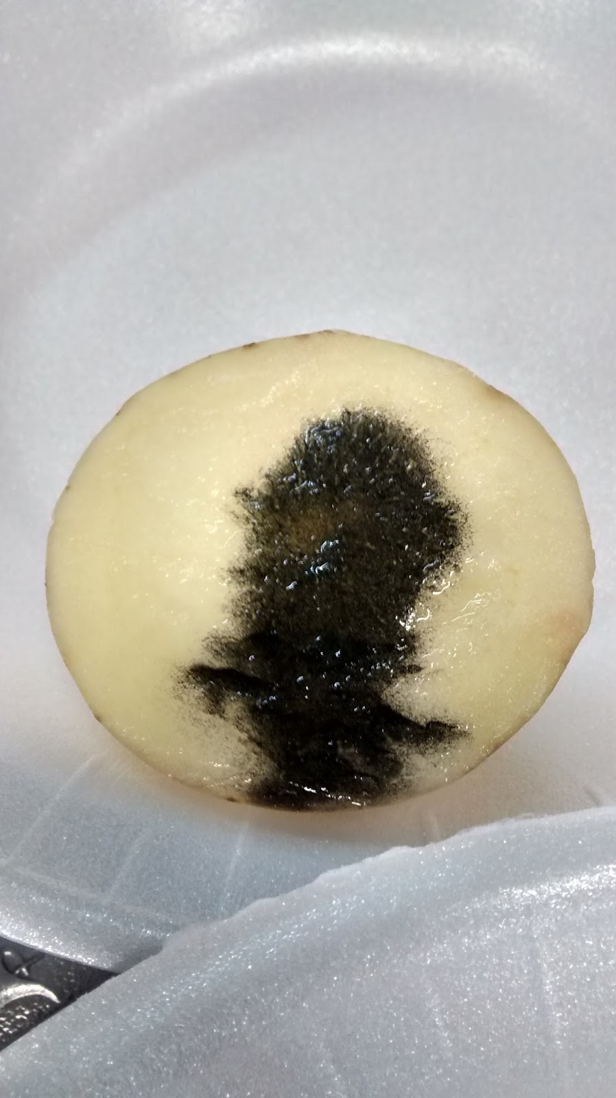 CualitativoA-YamiletteGarcia: 2015