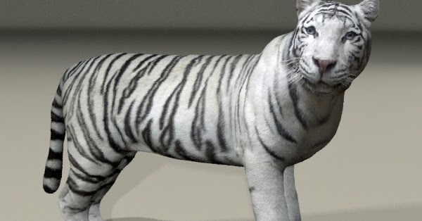 Digital Creations - Poser and DAZ Studio content: FREE White Tiger Prop ...