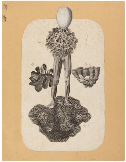 Los Grandes Fotografos: Franz Roh (1890-1965)