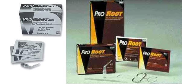 Endodontics: Advances in material aspect MTA