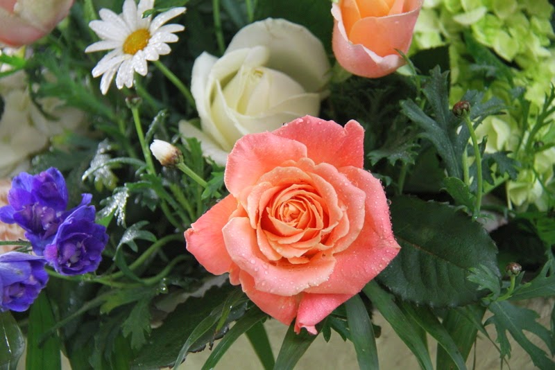 Vivacious Coral, Lime & Blue Shades for Chris & Joanne's Beautiful ...