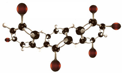 que son las xantonas??? - aprendiendo sobre xango