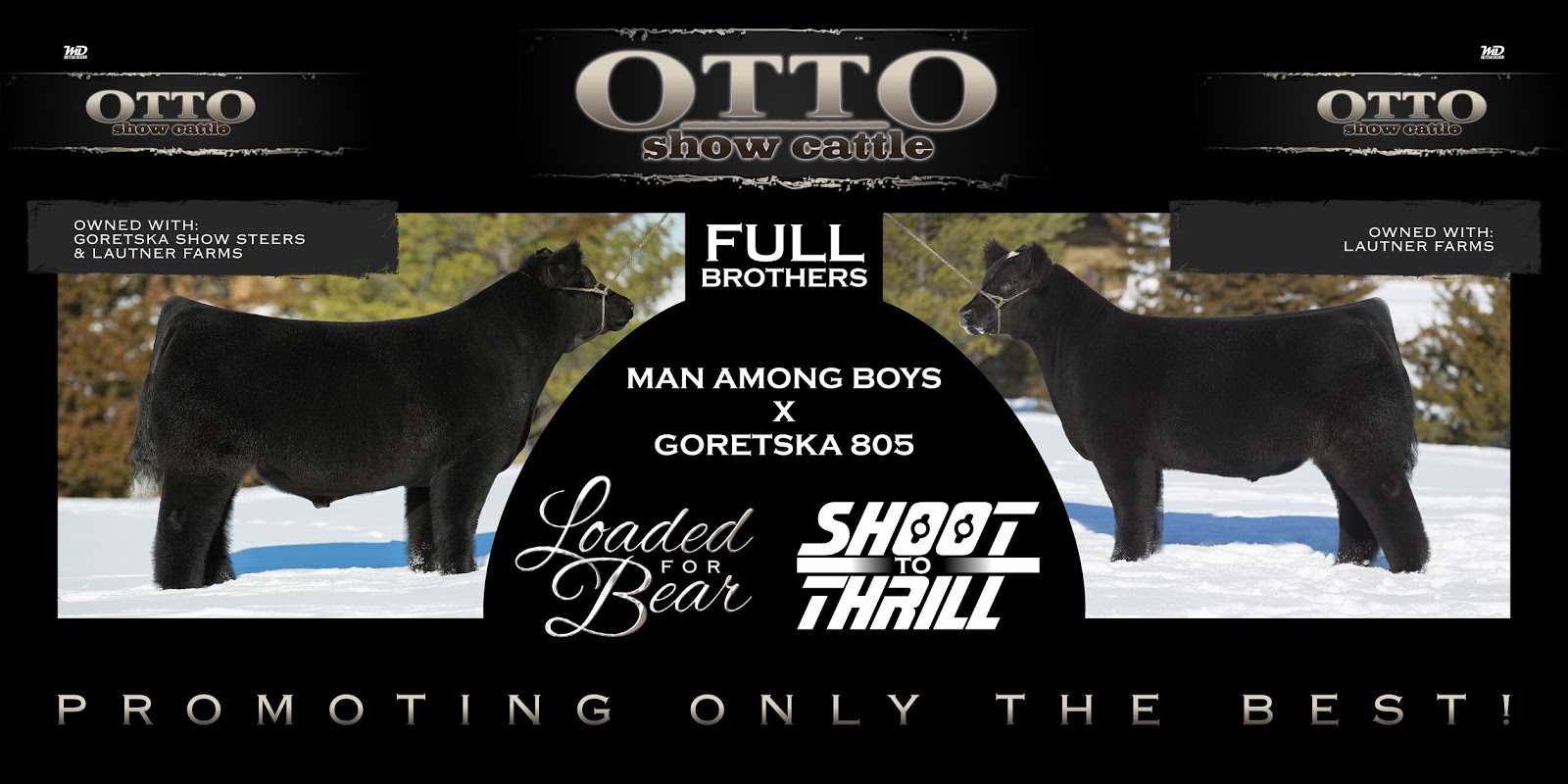 MITTAG Blog: Denver Bull Banners from Mittag Design