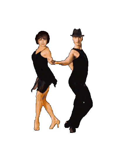 Dança Casal 2 - Cia dos Gifs