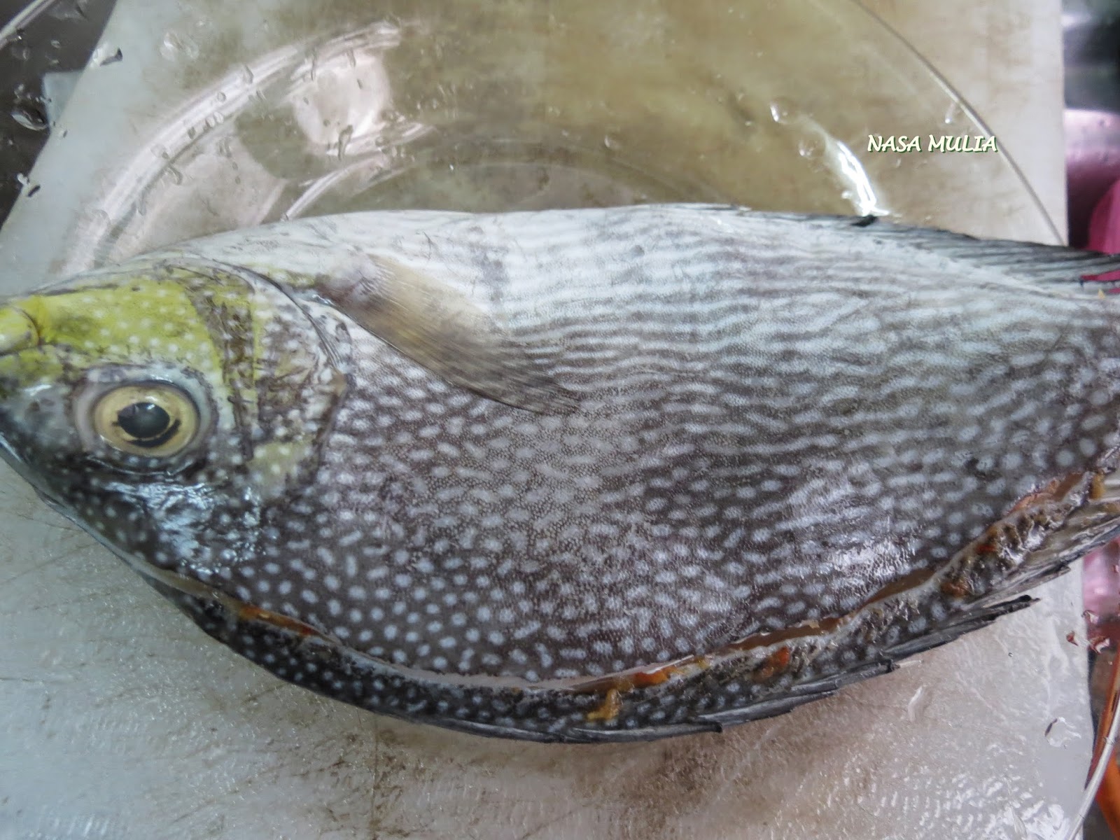 warna warni hidupku..............: Ikan Belais Bakar