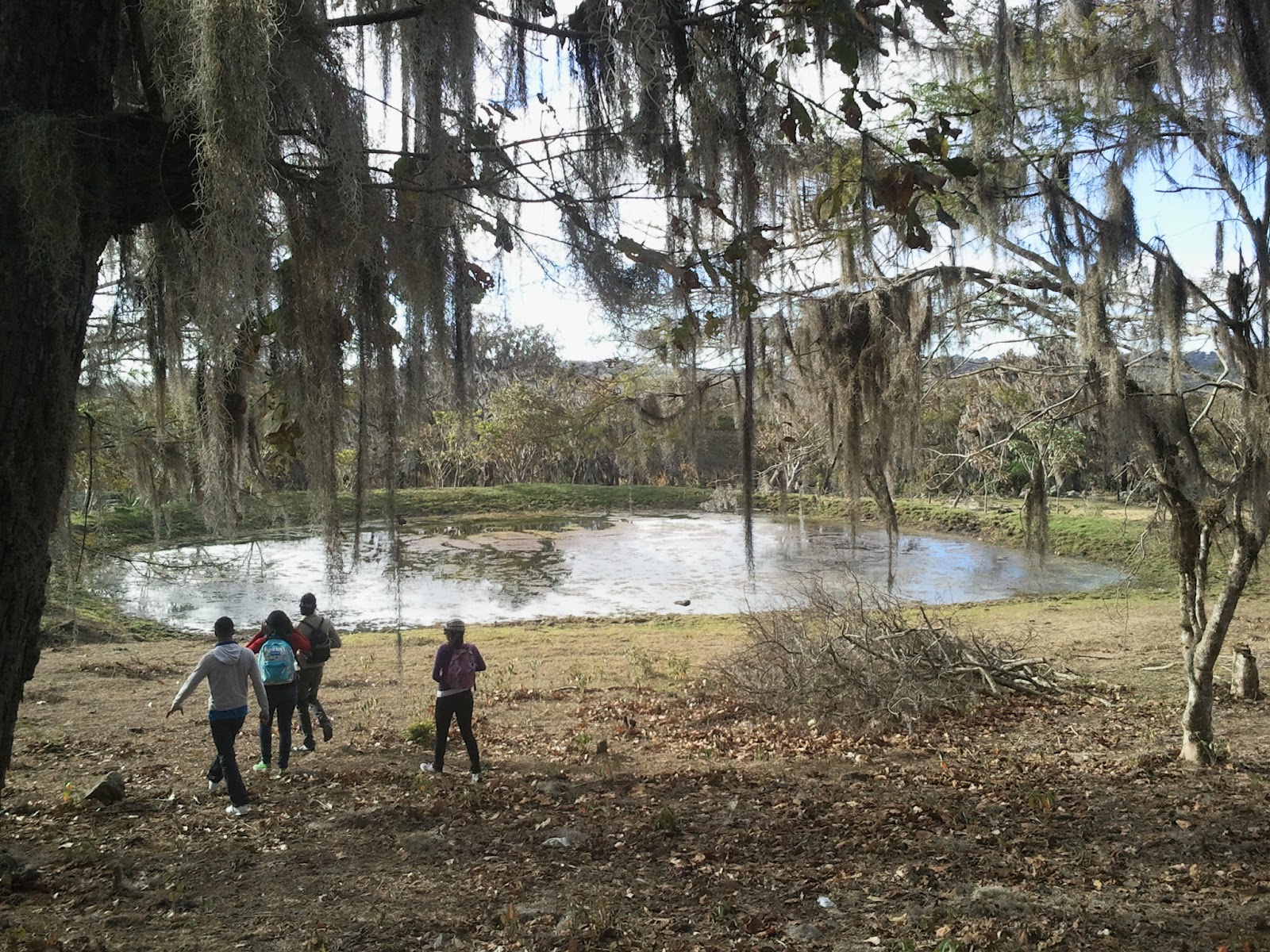 Reserva Natural Miraflor. - TELENORTE