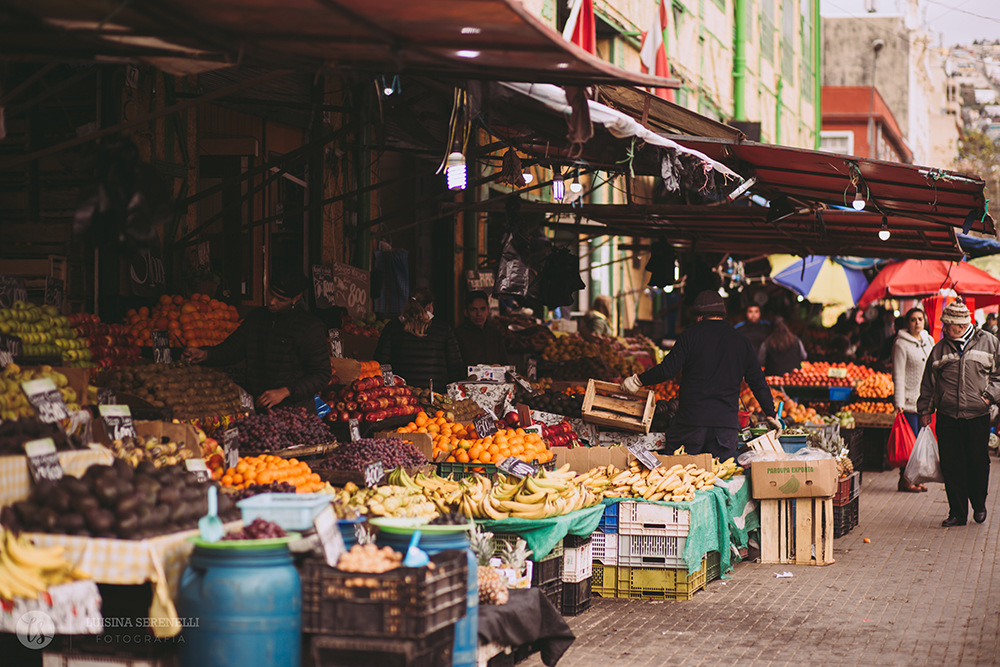 Dos mercados populares en Chile. La vega Central / El Cardonal / De ...