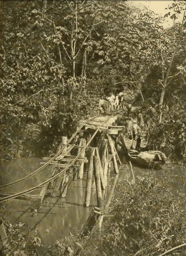 No Dhimmitude: Iquitos, Peru: Rubber Boom and the Rubber Barons of the ...