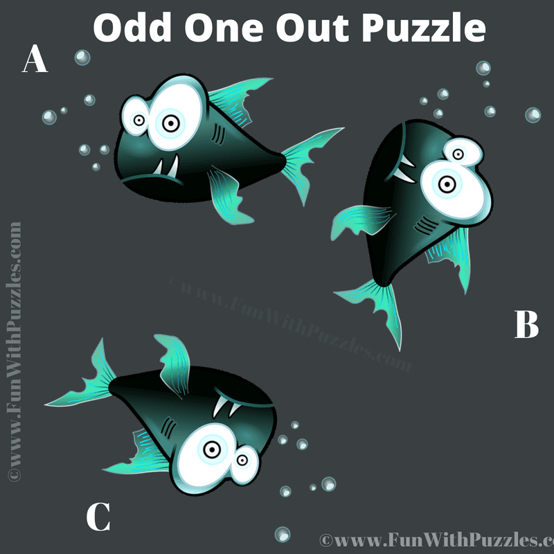Fish Odd One Out Hard Picture Puzzle Question