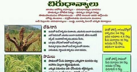 CHODAVARAMNET: POSHAKALU - AROGYA VARALU - CHIRU DANYALU