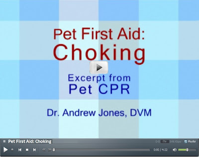 Top Dog Blog!: Pet First Aid: Choking & CPR