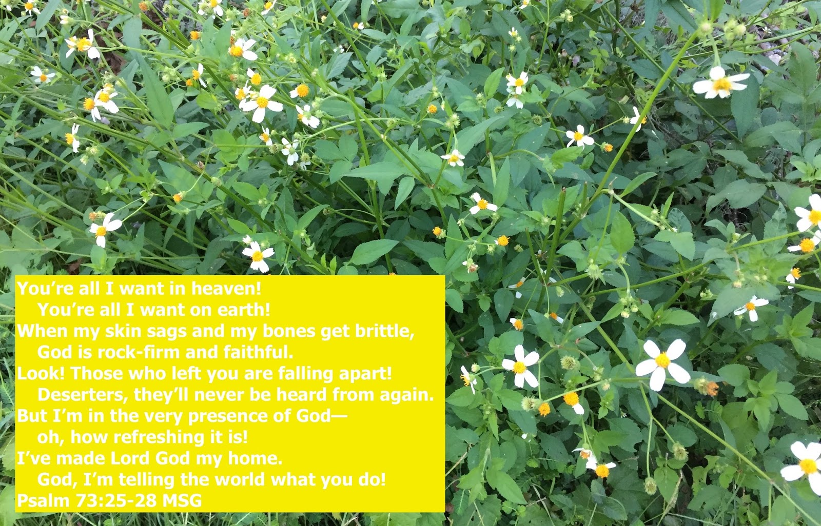 My Strength: Psalm 73:25-28 - "King of My Heart"