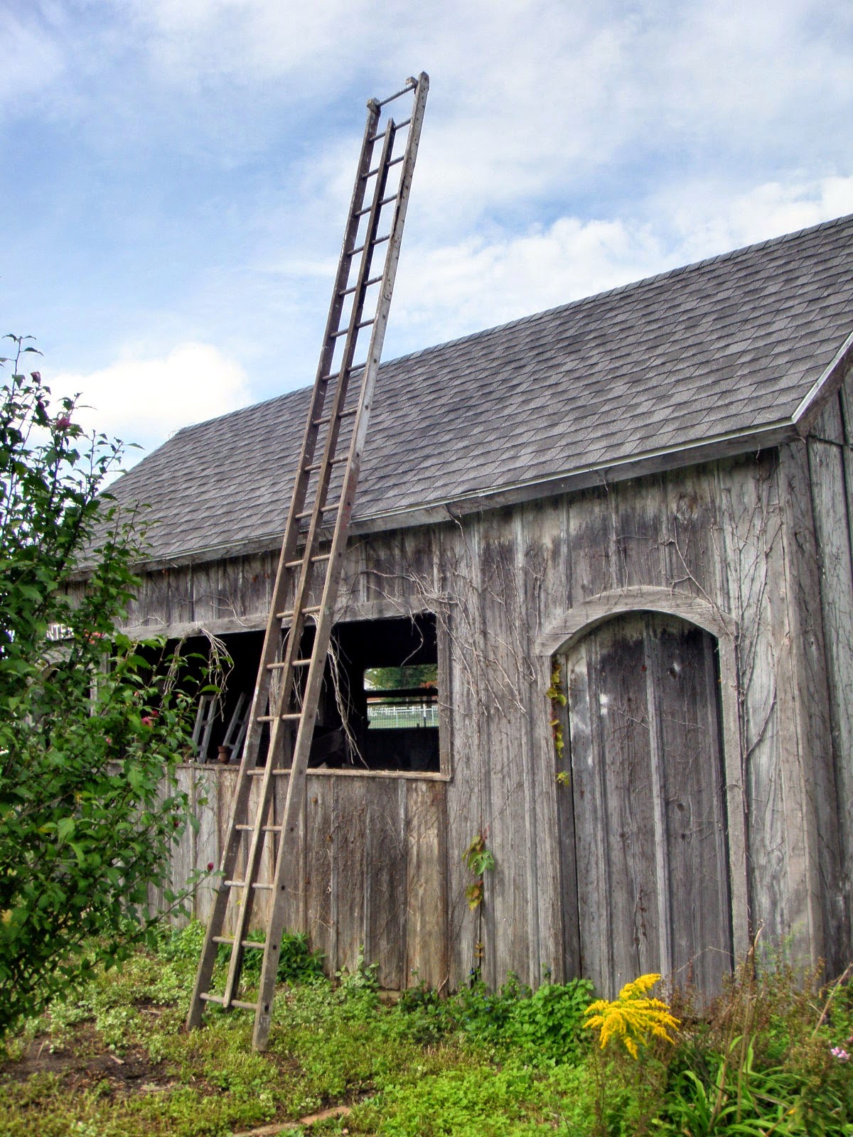 A Rustic Garden: Decorative Wooden Ladders Help Add to Country Style