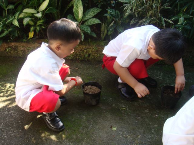 howard gardner center for excellence in education: LEARNING ABOUT ...